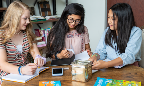 Young Women Class President