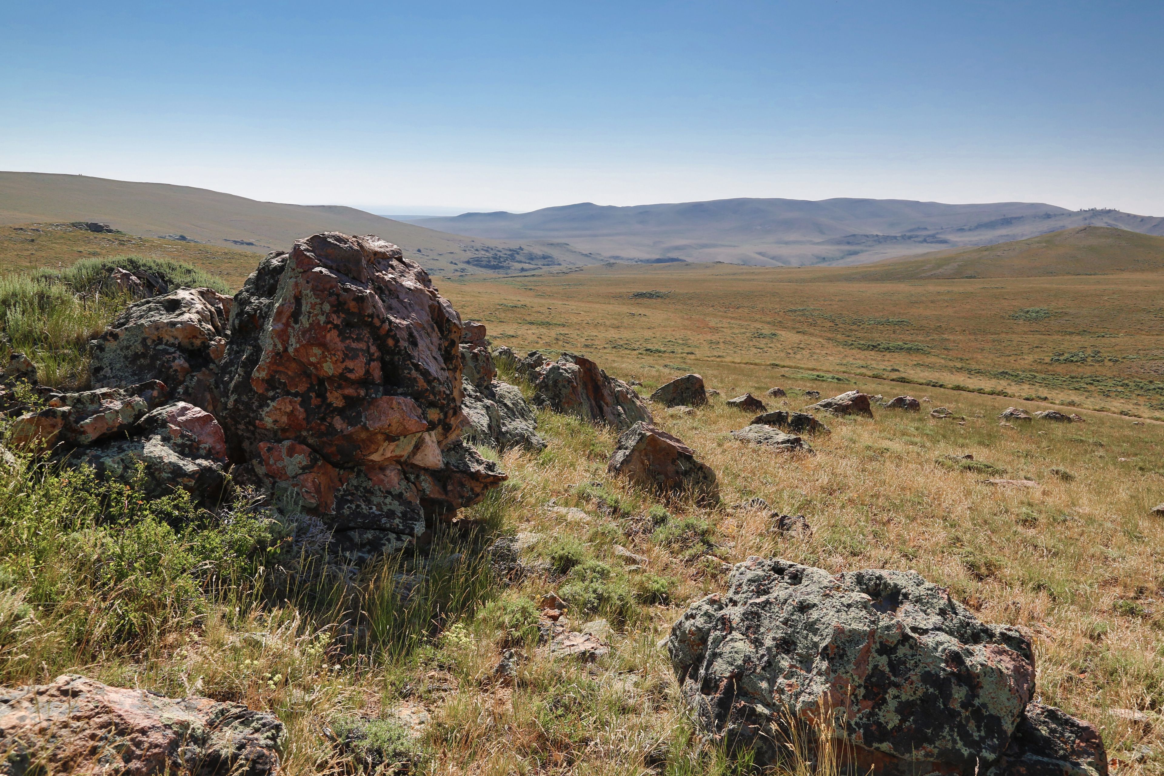 The River, the Hollow, and the Cove